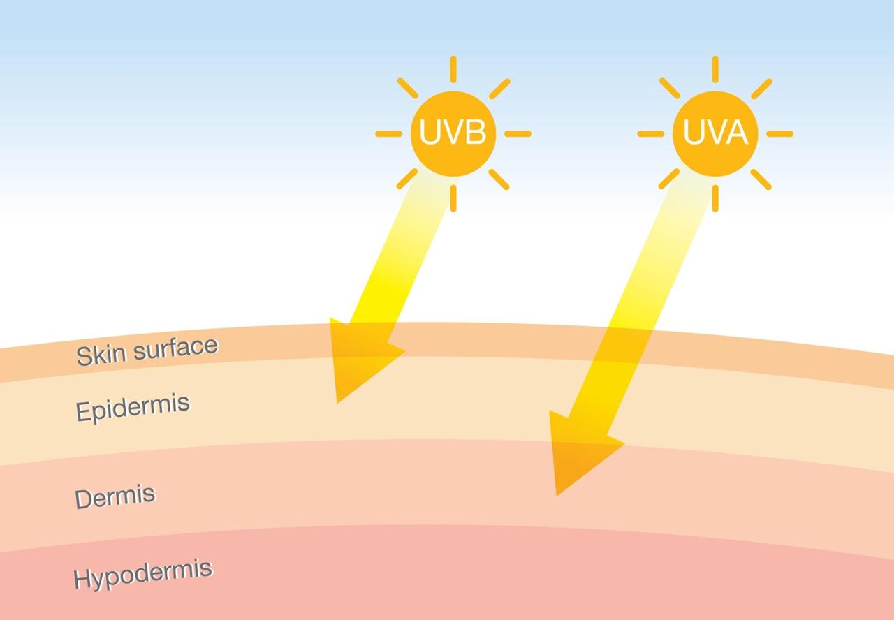 ช่วงความยาวคลื่น (Wavelength) คืออะไร? อธิบาย UV, UVA, UVB, UVC แบบ ...
